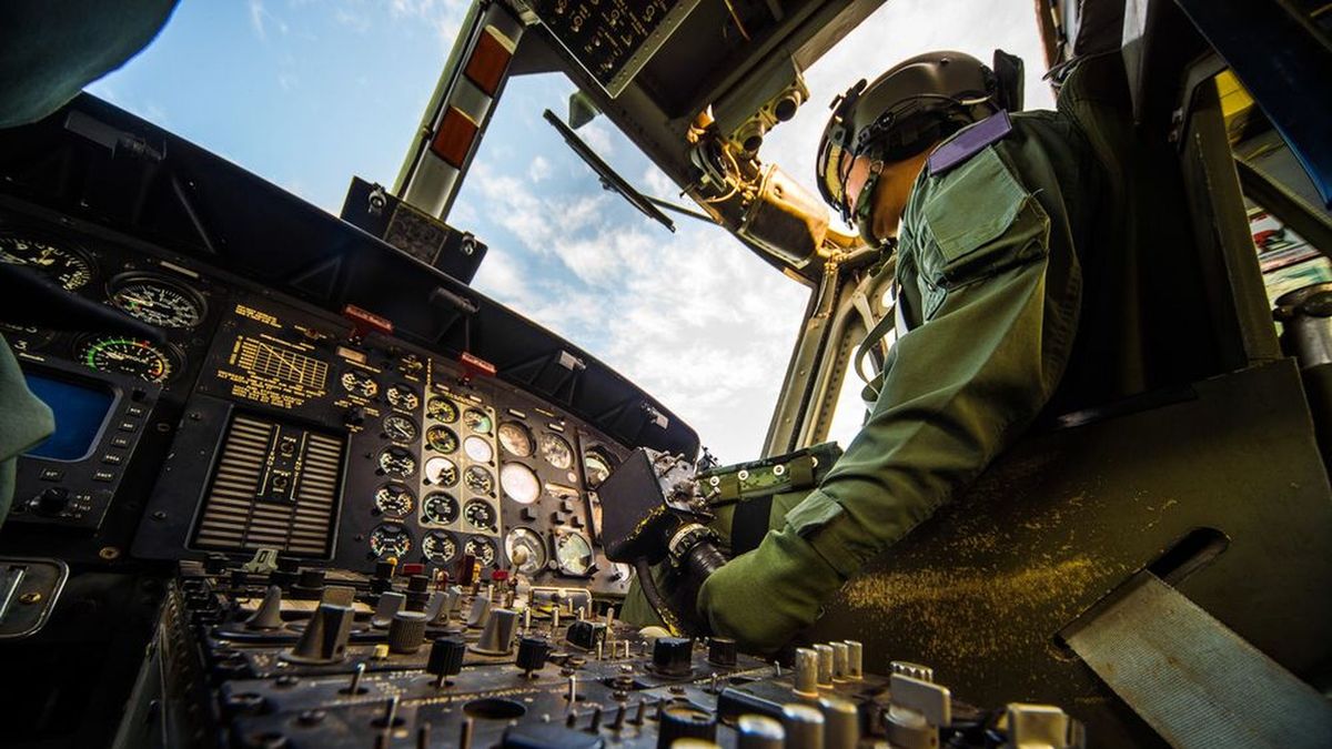 Test Your Knowledge of Offensive and Defensive Military Tactics | Zoo