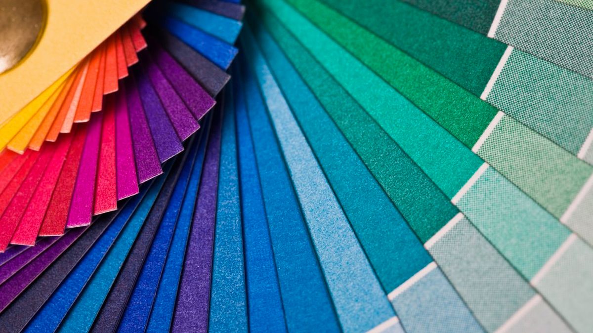 Can We Guess the True Color of Your Heart? | Zoo