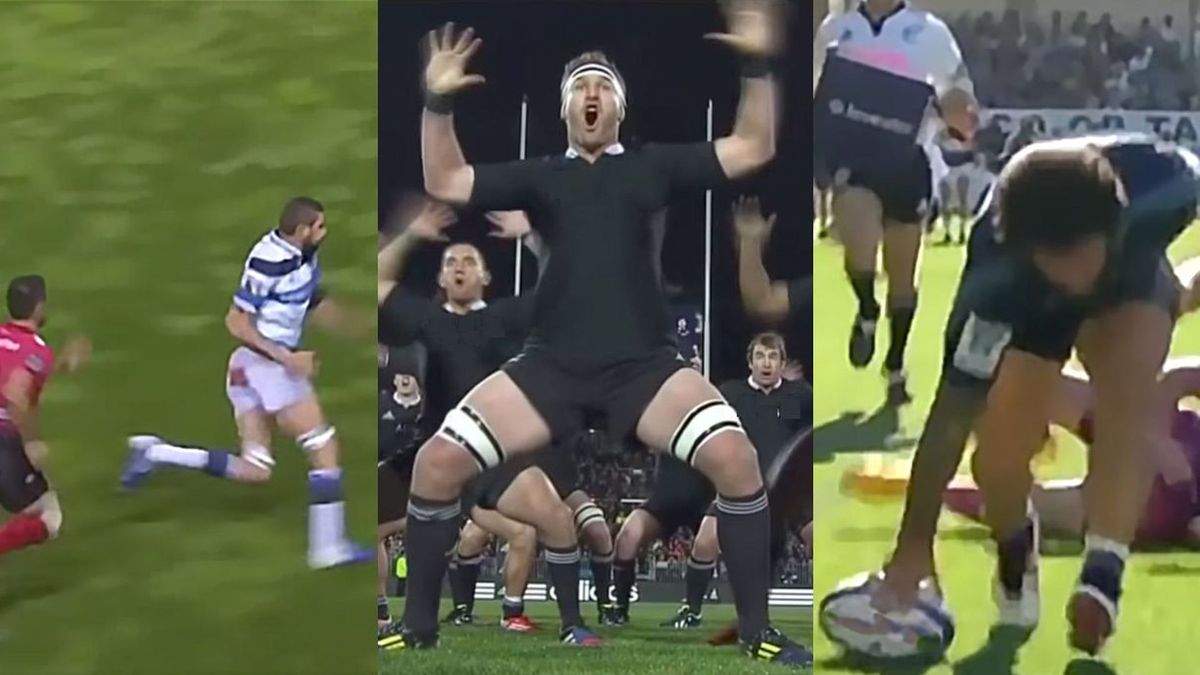 How much do you know about rugby? | Zoo