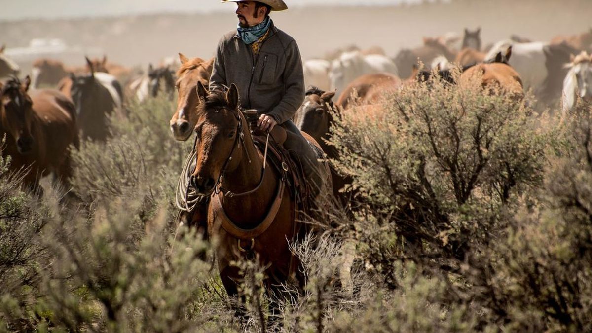 You Won't Believe What Your Wild West Job Should Actually Be! | Zoo