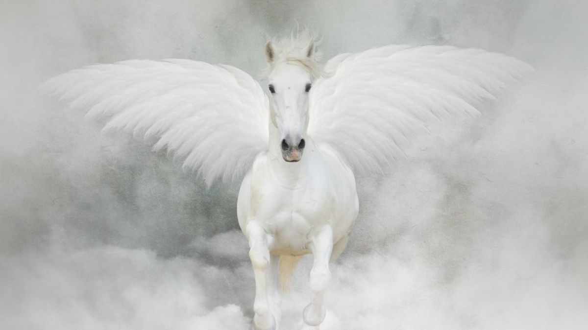 Ancient Greek Animal Personality Quiz | Zoo