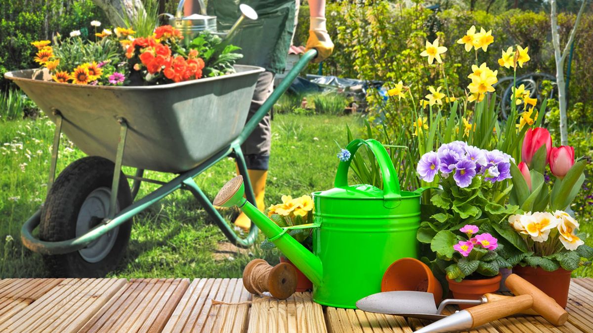 The ultimate gardening quiz for the green-thumbed! | HowStuffWorks