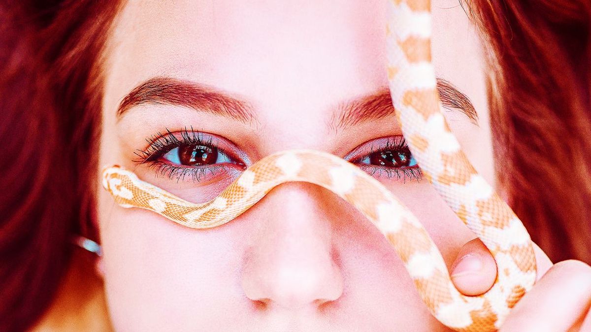 Tell Us About Your Feelings Toward These Snakes and We'll Guess Your ...