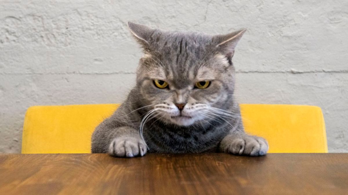 What % Good vs. Bad Are You? | HowStuffWorks