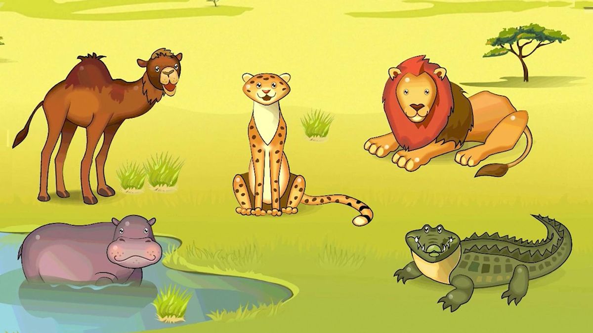 We'll Give You 3 Animals, You Tell Us Where in the World They Live! | Zoo