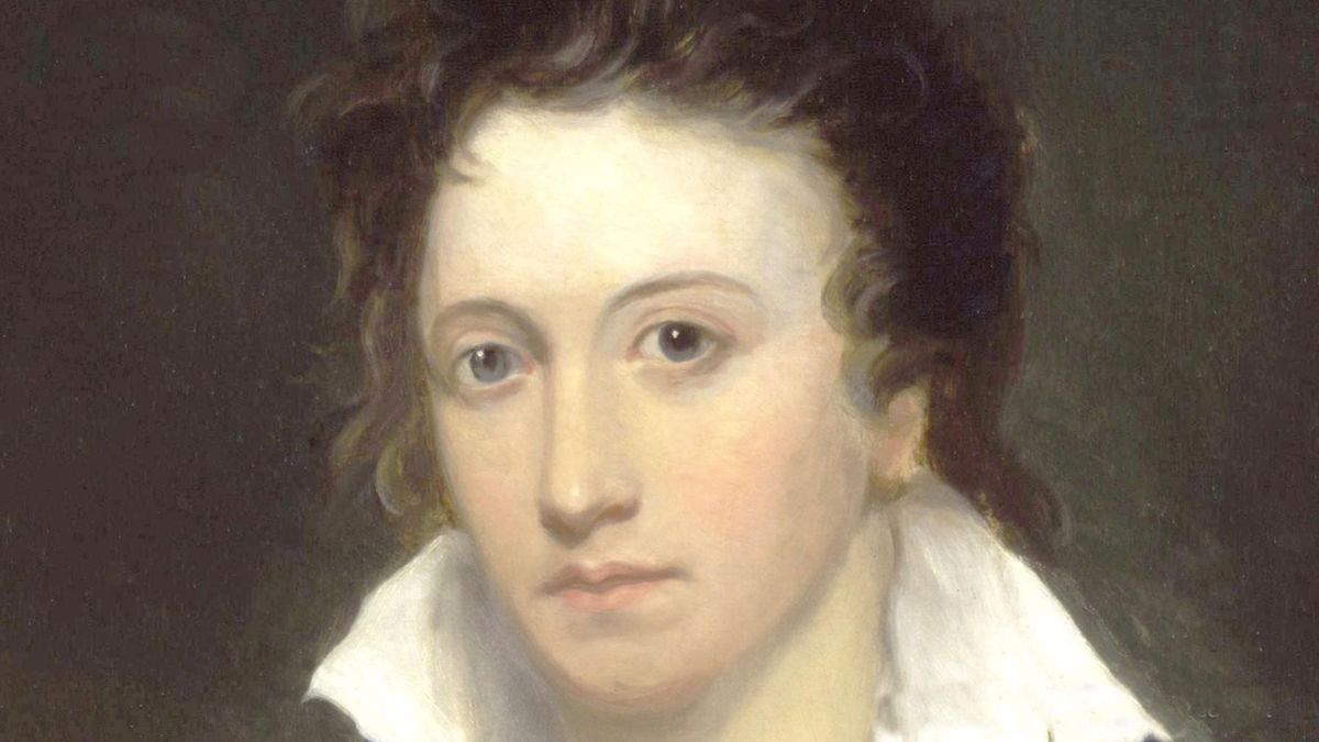 Can You Name These Famous Authors From a Single Sentence? | Zoo