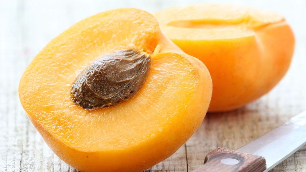 Can You Name All of These Common Fruits? | Zoo