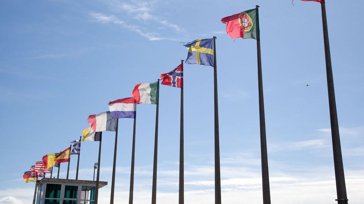 Can You Identify These European Flags? | Zoo