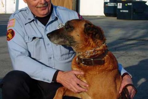 How Do Dogs Help Police