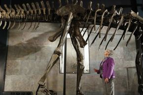 Why were so many prehistoric animals so big? | HowStuffWorks
