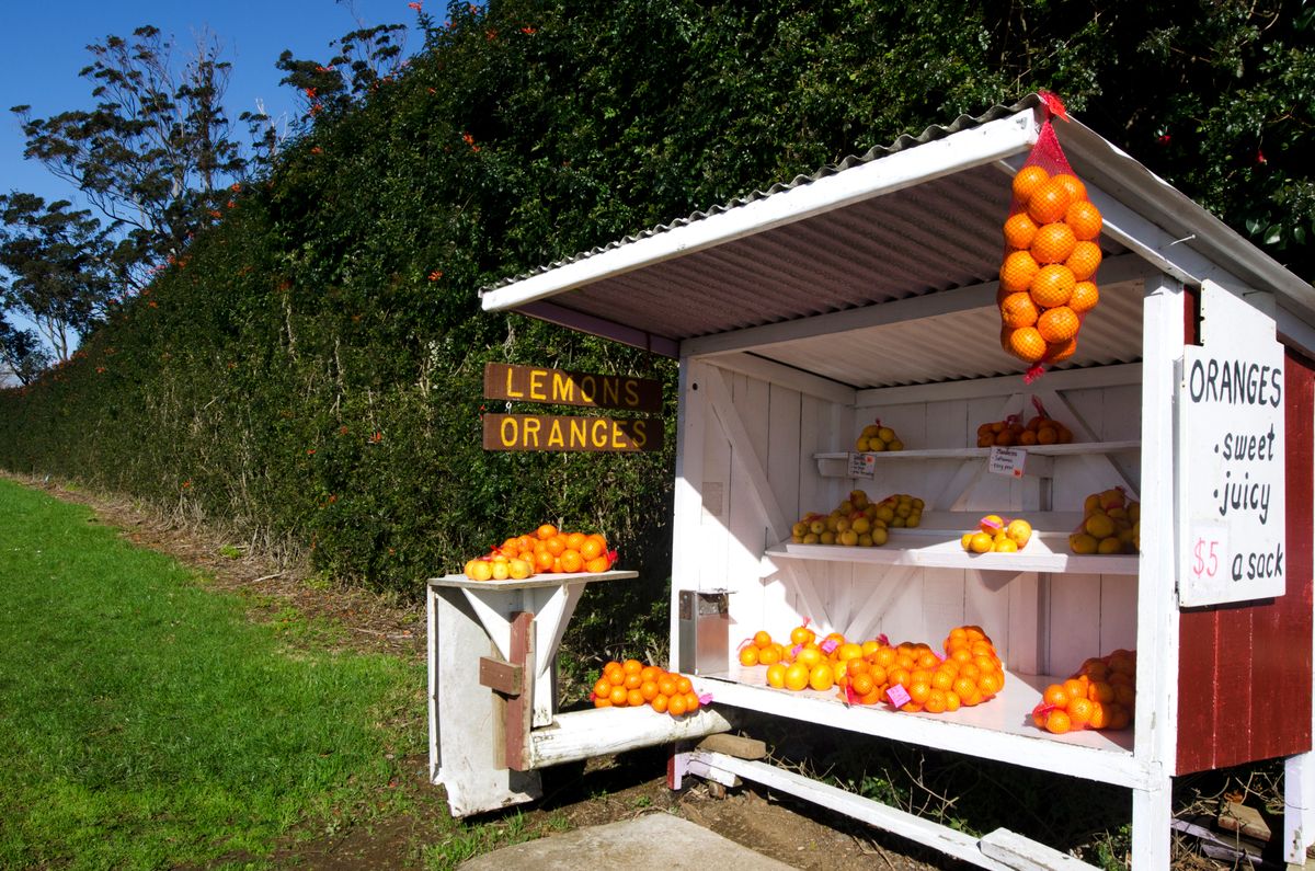 10 Foods to Buy by the Side of the Road | MapQuest Travel