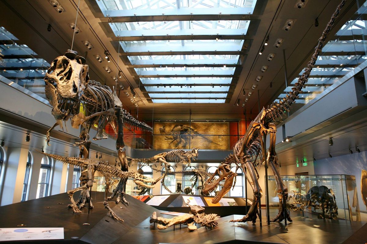 10 Awesome Museums Where You Can Spend the Night | MapQuest Travel