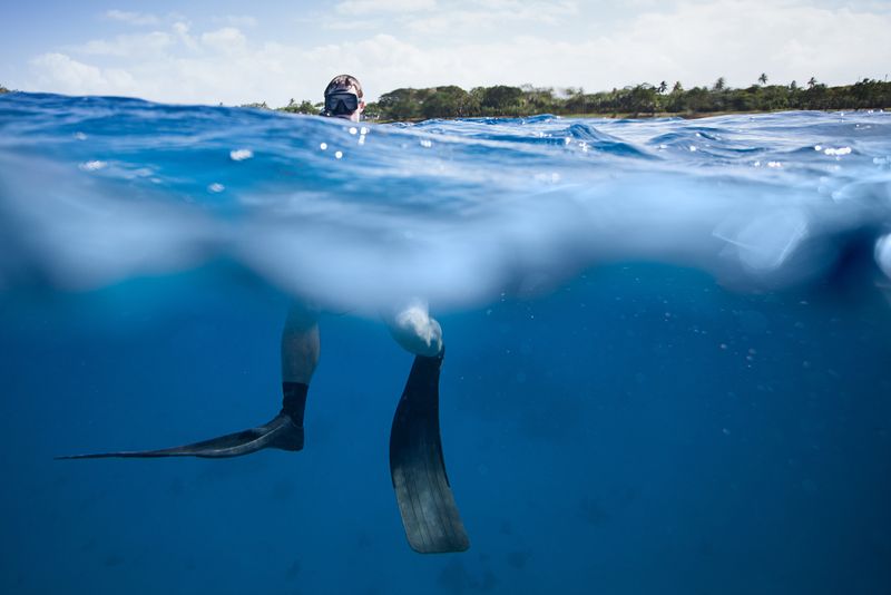 7 Scuba Diving Nightmares | MapQuest Travel