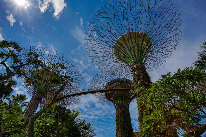 The 10 Most Thrilling Skywalks Around the World | MapQuest Travel