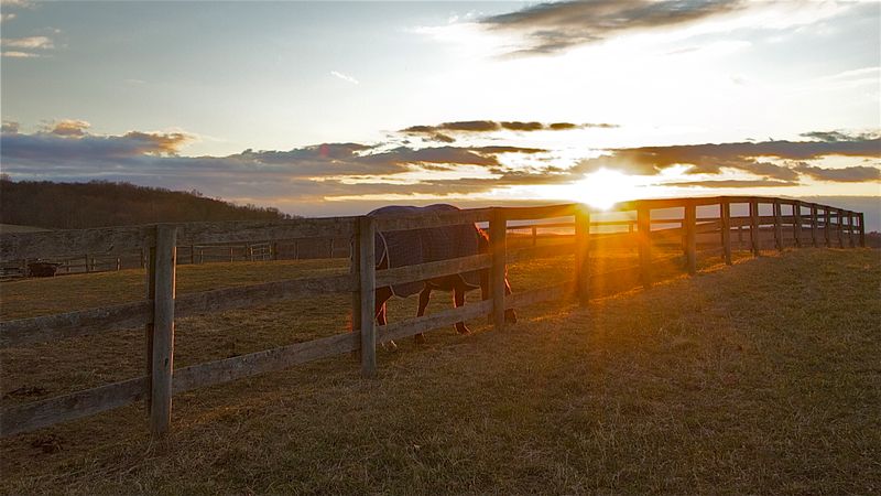 12 Equestrian Places in the US | MapQuest Travel