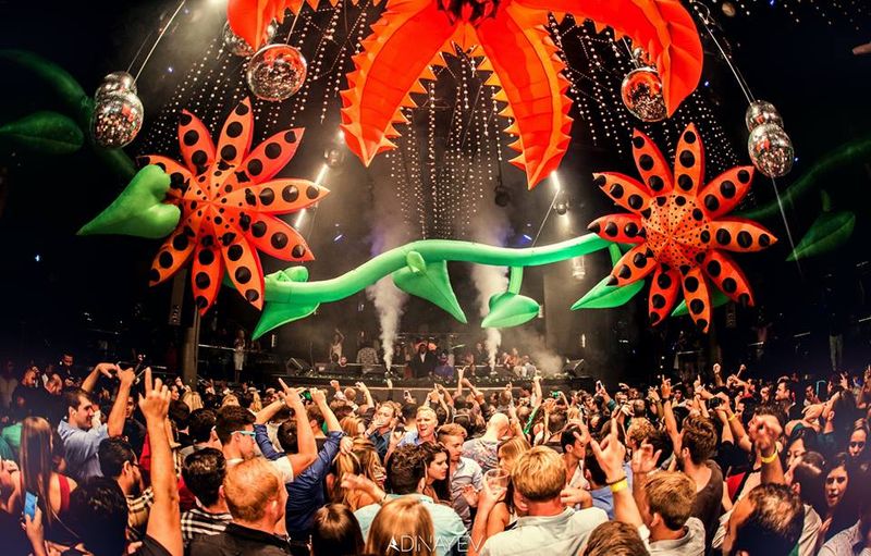 The Miami Nightclub Guide: 13 Clubs for Serious Partiers | MapQuest Travel