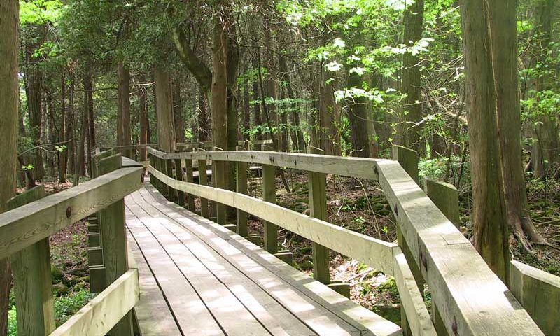 The Best of Milton Hiking Spots | MapQuest Travel