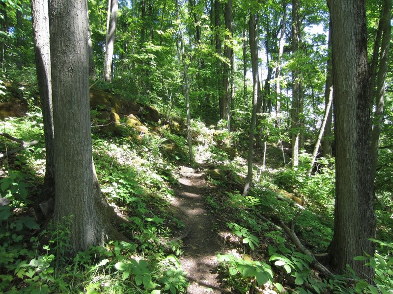 The Best of Milton Hiking Spots | MapQuest Travel