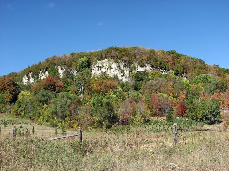 The Best of Milton Hiking Spots | MapQuest Travel