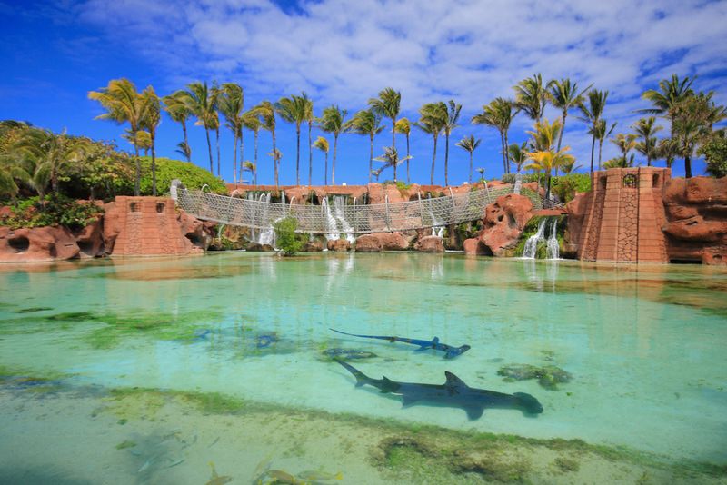 8 Tips to Plan Your Vacation at Atlantis Resort | MapQuest Travel