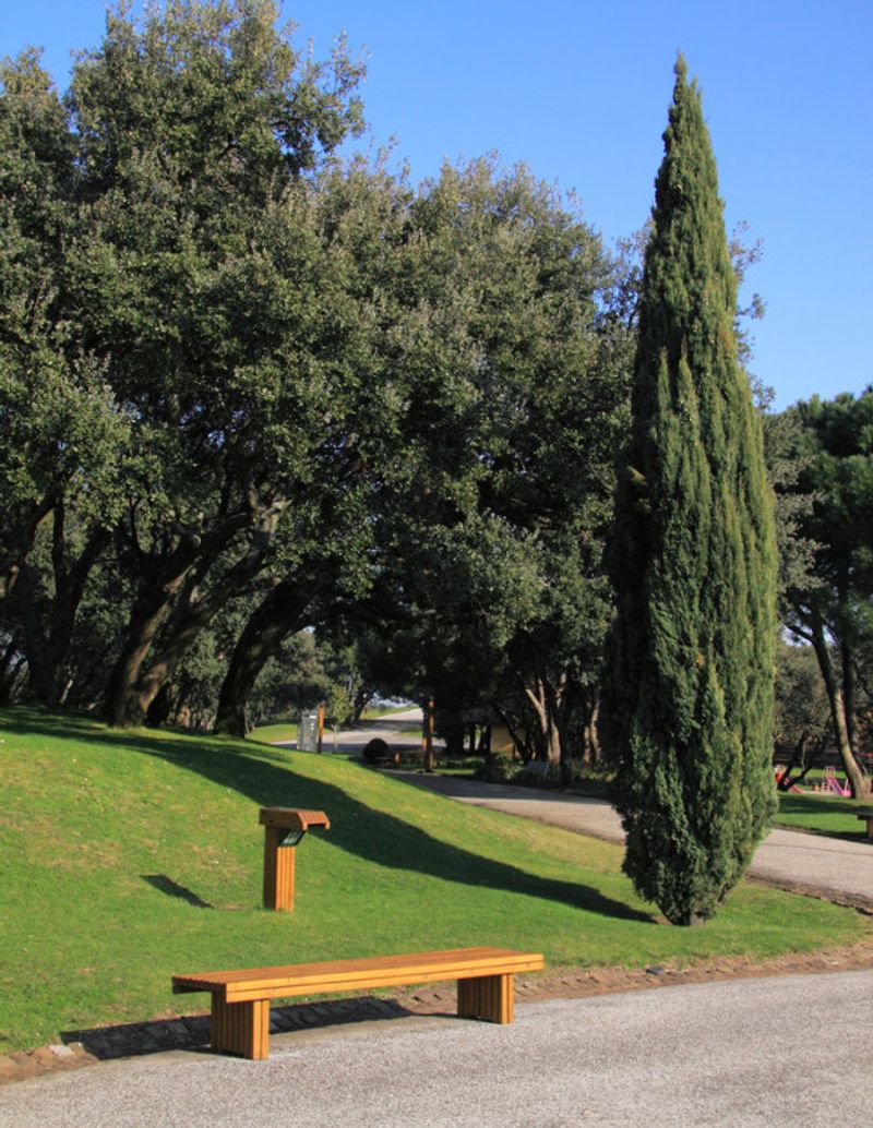 The Best Urban Parks in the World | MapQuest Travel