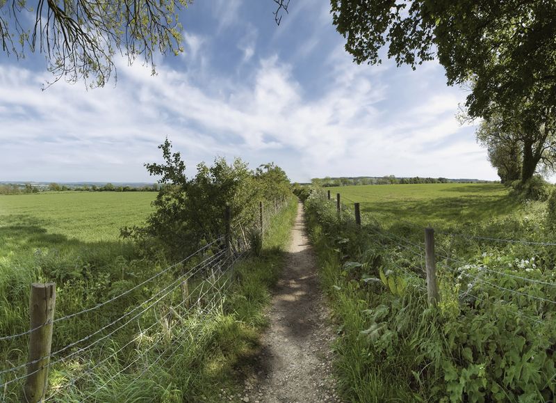 The Most Strikingly Beautiful Hiking Trails On The English Countryside ...