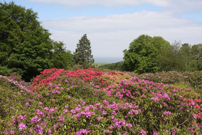 The Most Strikingly Beautiful Hiking Trails On The English Countryside ...