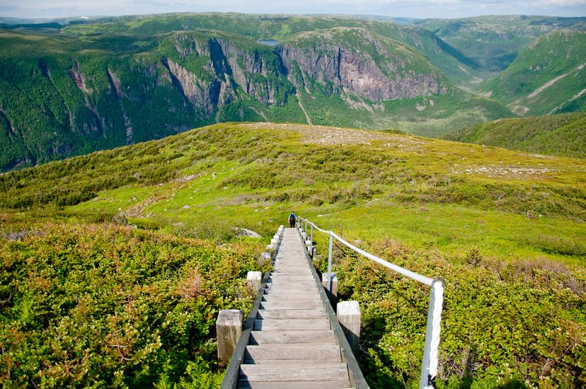The Best Things to See and Do in Newfoundland | MapQuest Travel