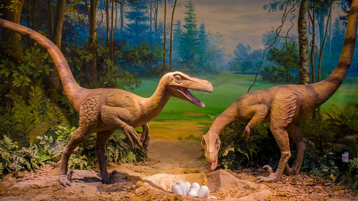 Troodon: An Omnivorous Dinosaur With a Big Brain | HowStuffWorks