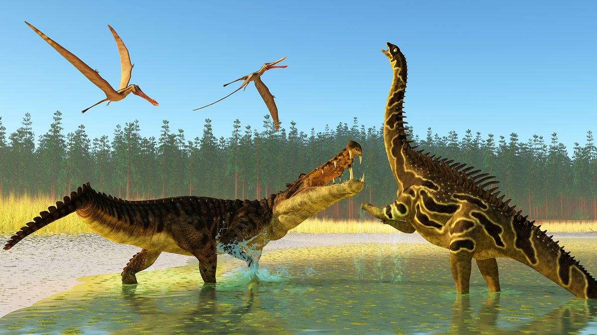 Kaprosuchus Size Kaprosuchus Wikiwand