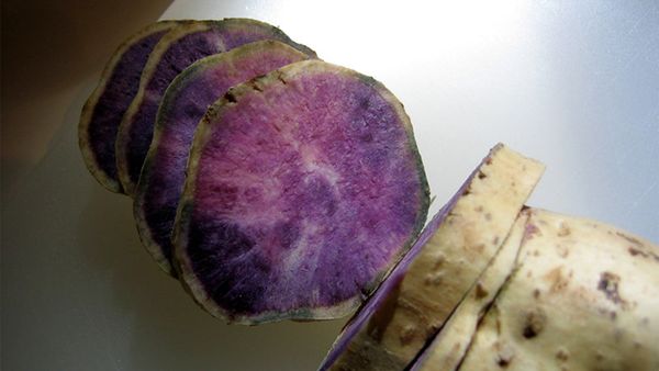 Taro Gives the Potato a Run for Its Nutritional Buck | HowStuffWorks