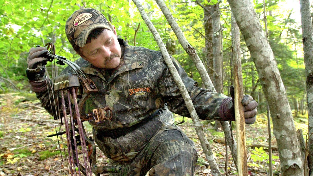 Why Many American Suburbs Welcome Urban Deer Hunters | MapQuest Travel