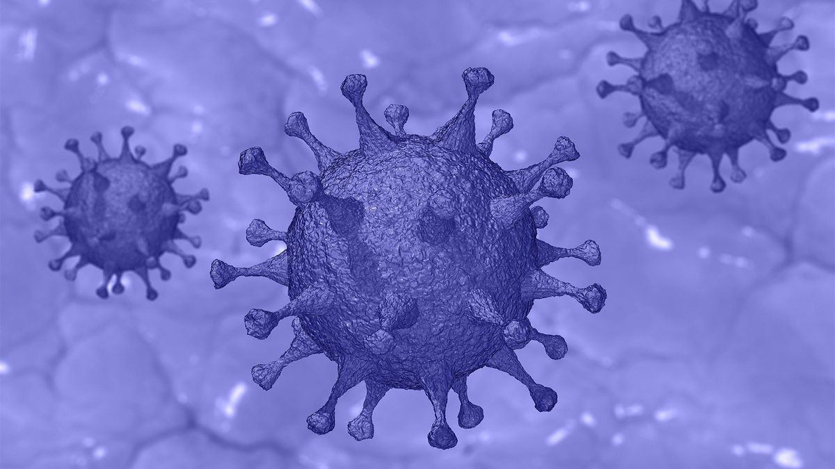 How a Virus Infects You - How Viruses Work | HowStuffWorks