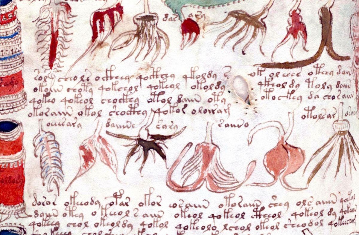 How the Voynich Manuscript Works | HowStuffWorks
