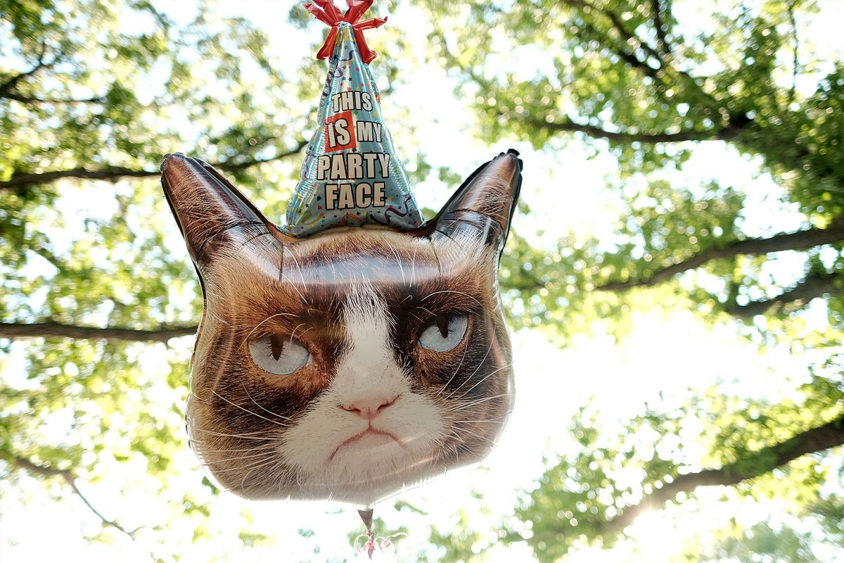 Test Your Knowledge: Weird Internet Meme Quiz | HowStuffWorks