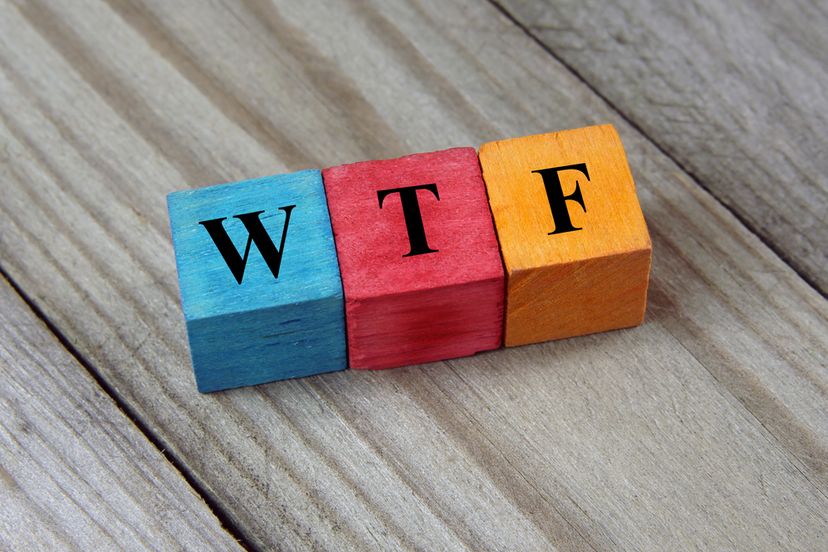 Urban Dictionary Quiz Zoo