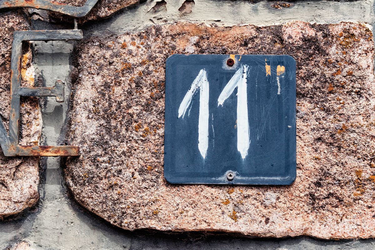 Exploring the Power of the 11th House in Personal and Social Life ...